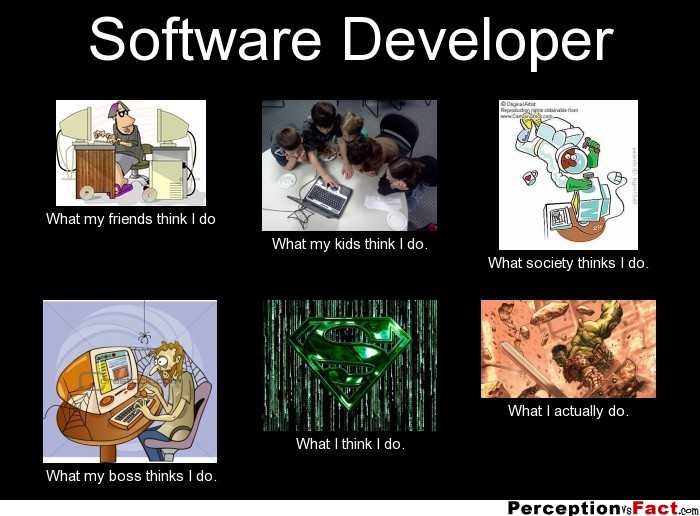 Software Developer... - What people think I do, what I really do ...