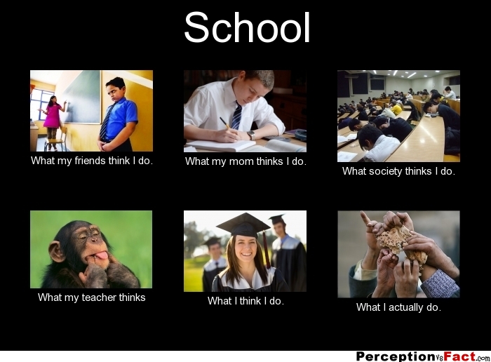 School... - What people think I do, what I really do - Perception Vs Fact